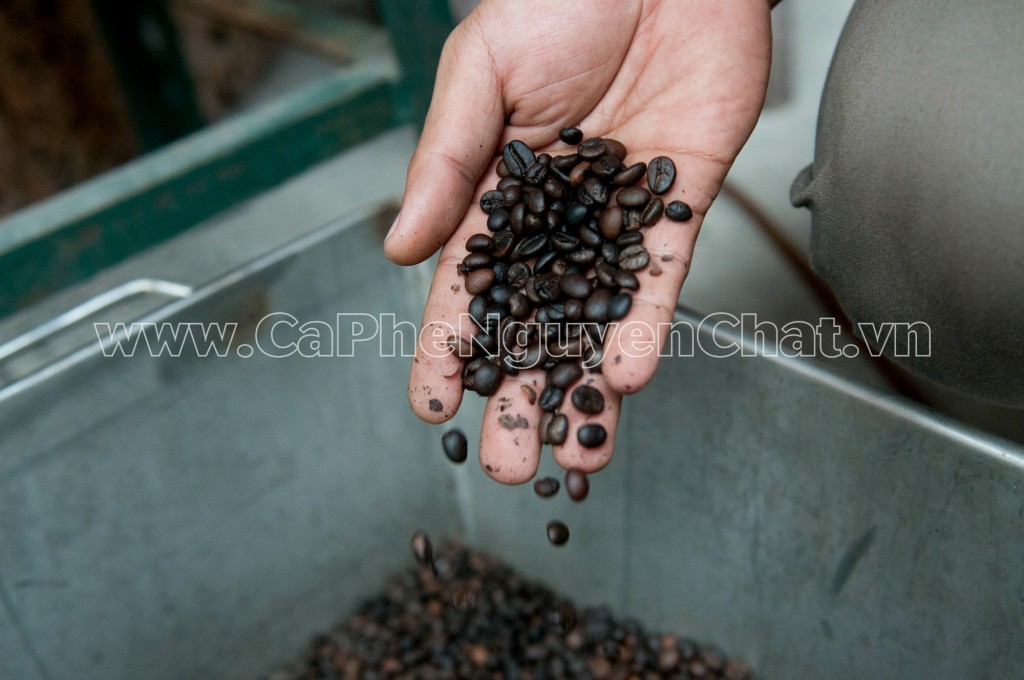 Cung cấp cà phê rang xay - cà phê sạch tại Hà Nội